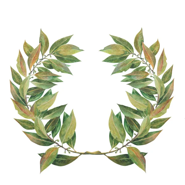 75 Laurel crown drawing Stock Photos | Free & Royalty-free Laurel crown ...