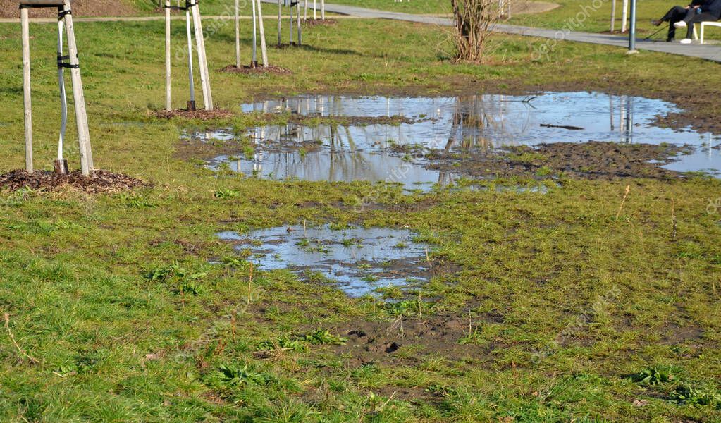 el suelo inundado en el parque no recibe agua de la lluvia primaveral ...