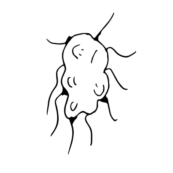 105 Tree flowering root Vector Images | Depositphotos