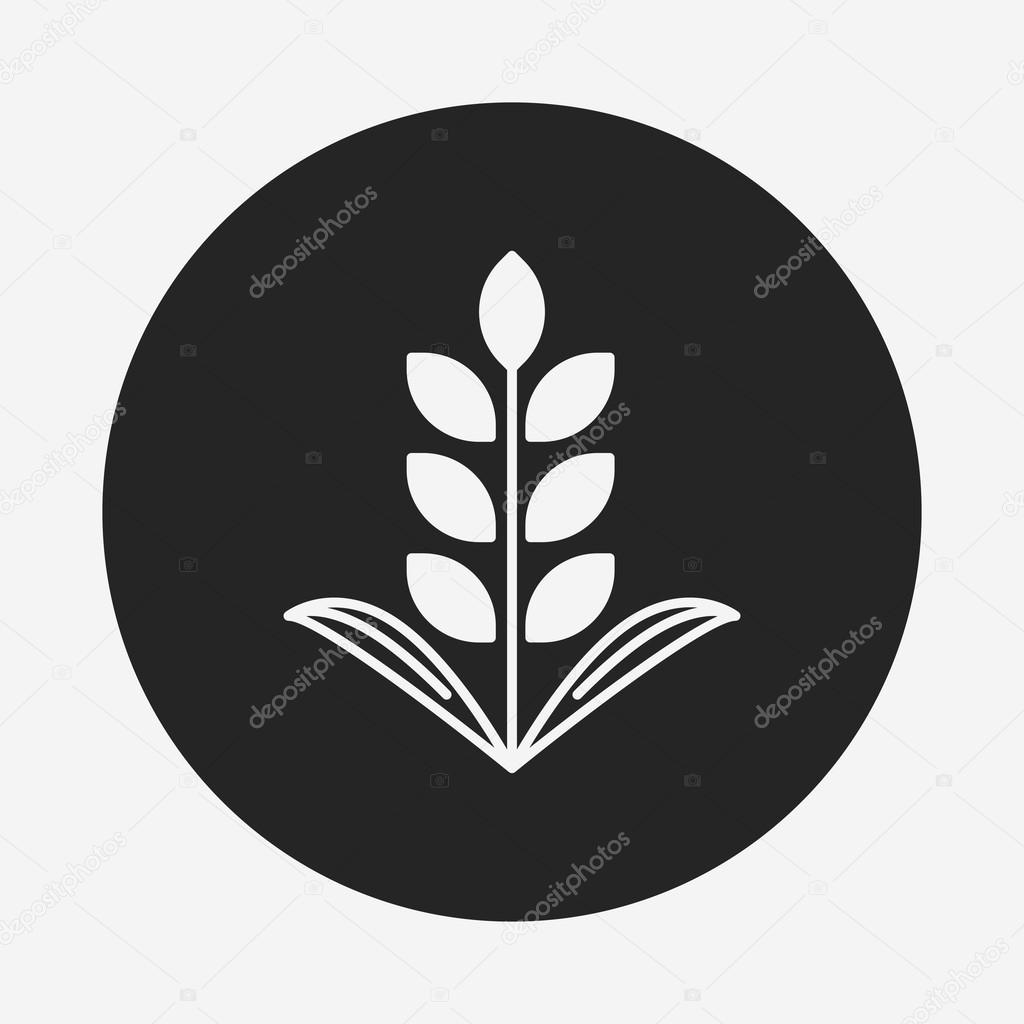 Cereals icon Stock Vector by ©vectorchef 79407968