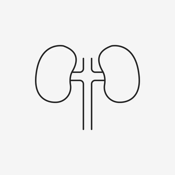 Kidney icon Stock Vector by ©vectorchef 81286050
