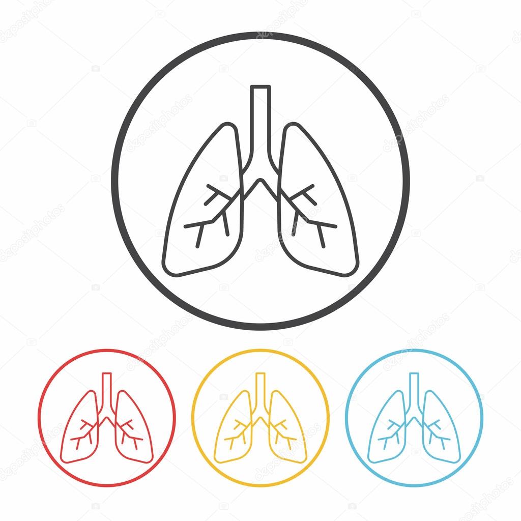 Organ lung line icon Stock Vector Image by ©vectorchef #91227360