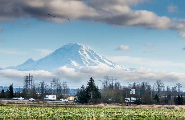 Puyallup Stock Photos, Royalty Free Puyallup Images | Depositphotos