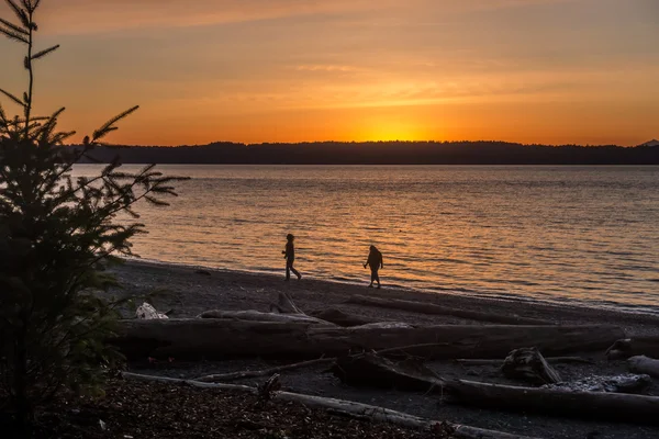 Puget sound beach Stock Photos, Royalty Free Puget sound beach Images ...