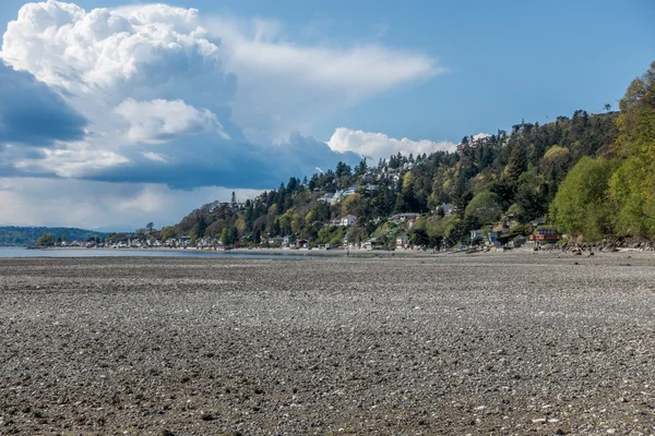 Three tree point Stock Photos, Royalty Free Three tree point Images ...