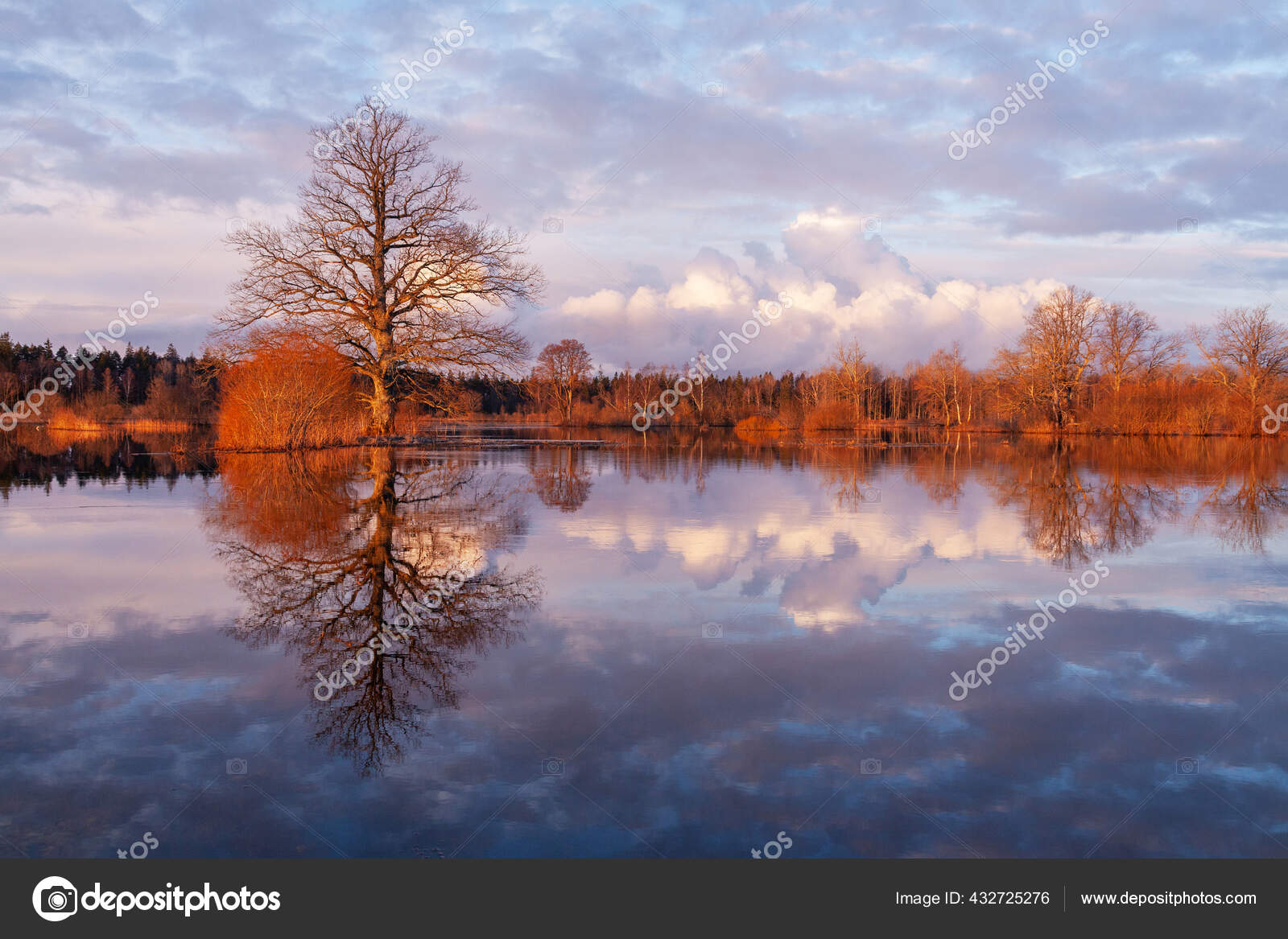 Soomaa National Park Spring Flooding Also Known Fifth Season Estonian ...