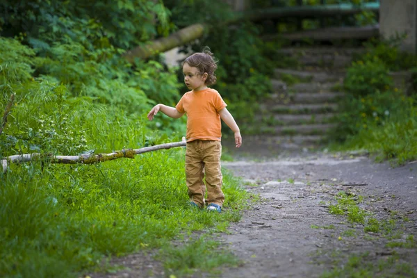 Little walks in the garden. Stock Photo by ©zhukovvvlad 116480714