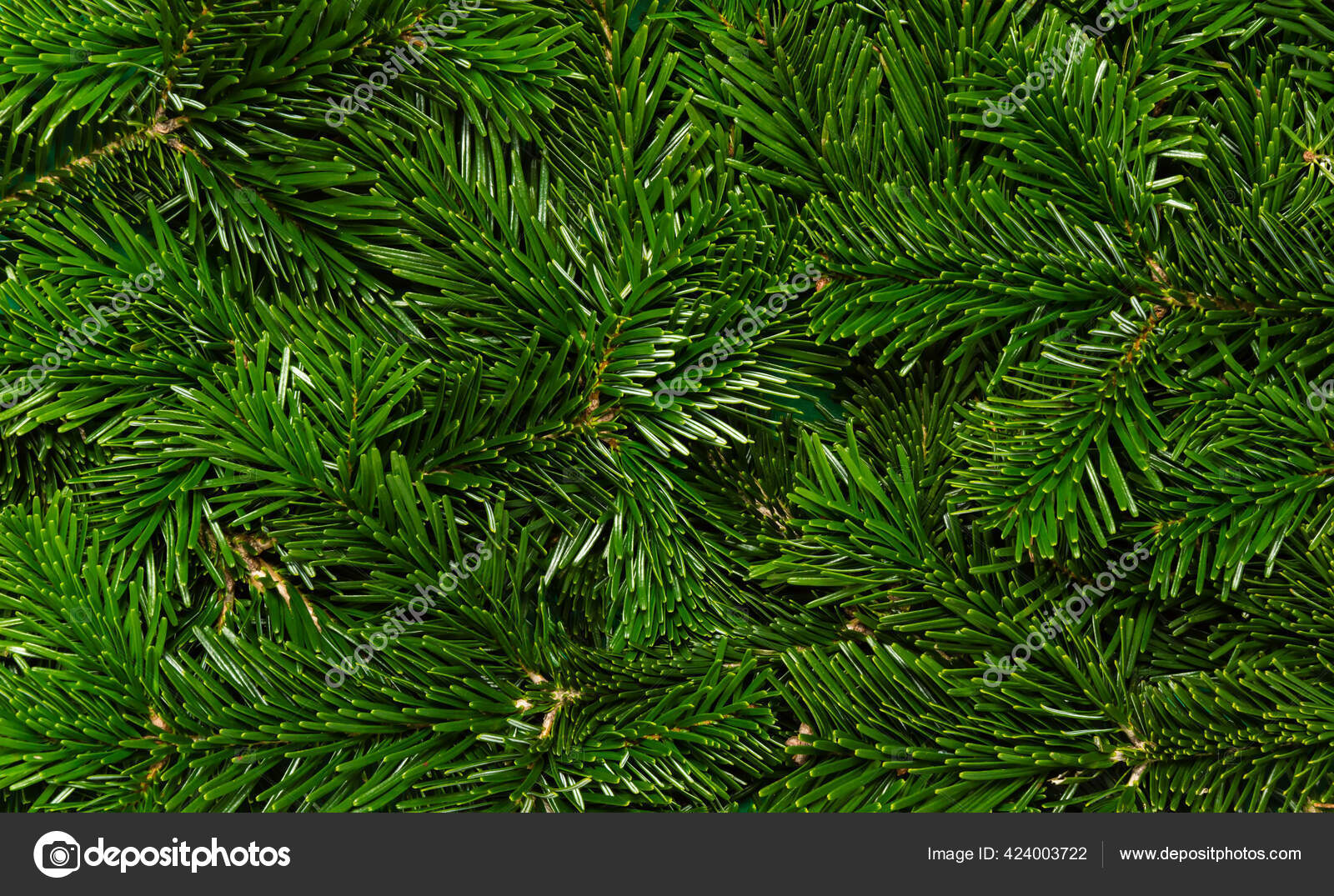 Christmas Tree Texture