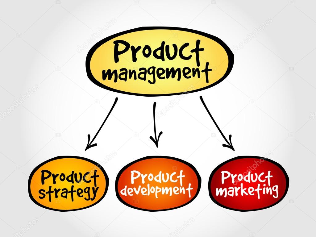 Product management mind map Stock Vector by ©dizanna 101148238