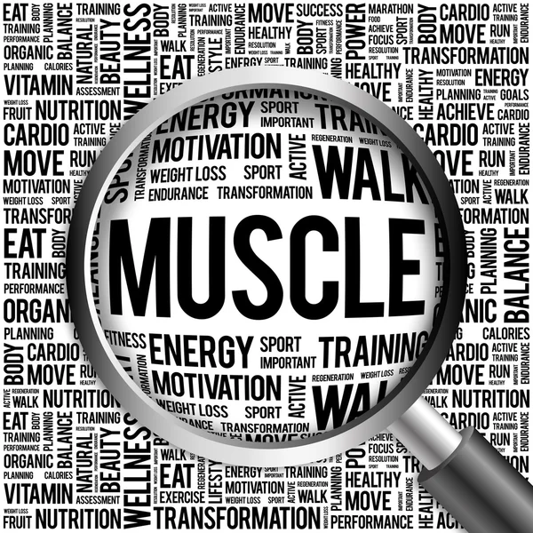 Muscle word cloud background Stock Vector by ©dizanna 133407628