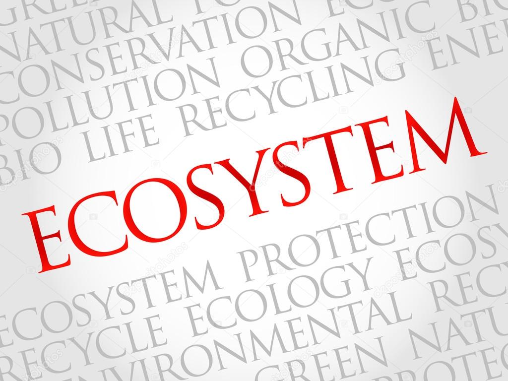 Ecosystem word cloud Stock Vector Image by ©dizanna #104209160