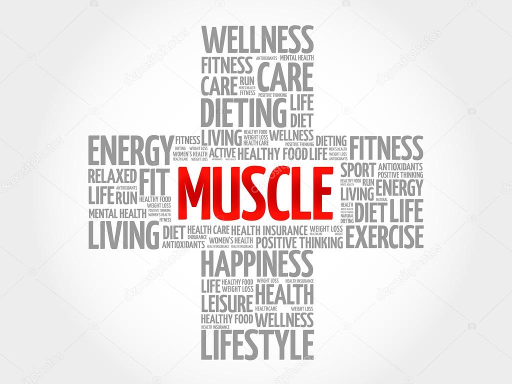 Muscle word cloud Stock Vector by ©dizanna 104749866