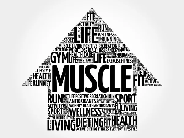 Muscle word cloud Stock Vector by ©dizanna 104749866