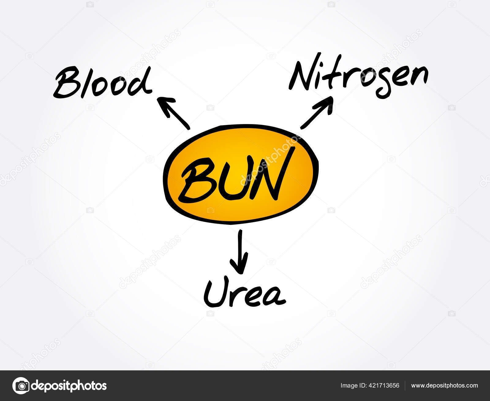 Bun Blood Urea Nitrogen Acronym Medical Concept Background Stock Vector ...