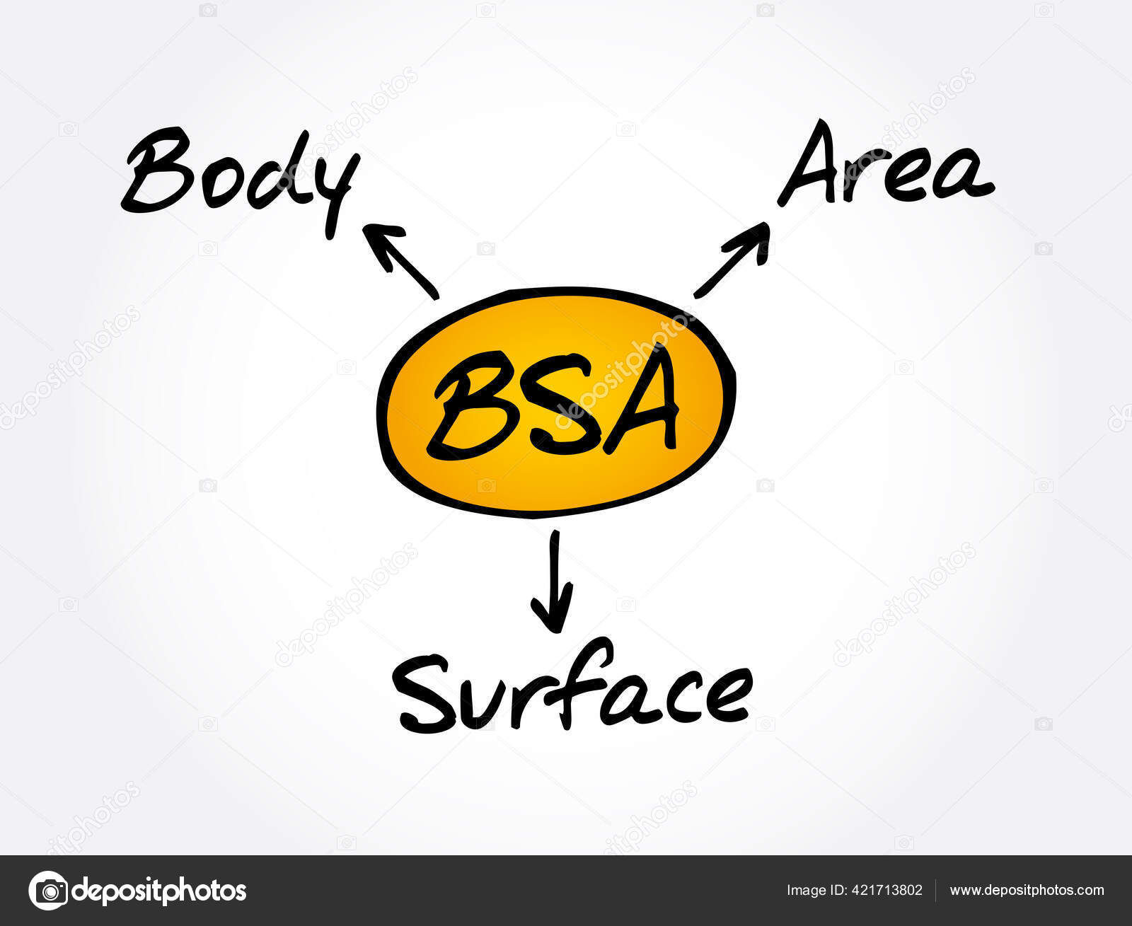 Bsa Body Surface Area Acronym Concept Background Stock Vector by ...