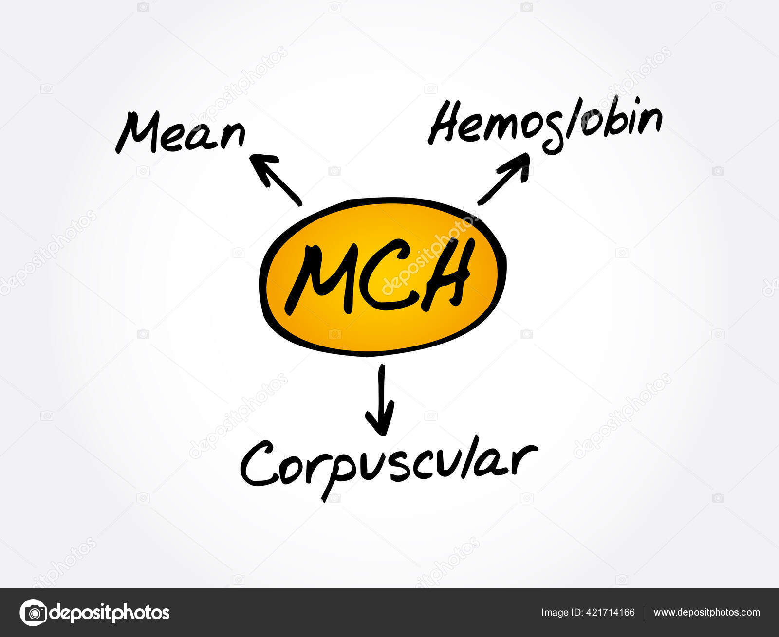 Mch Mean Corpuscular Hemoglobin Acronym Medical Concept Background ...