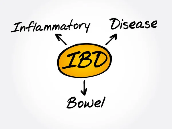 Ibs Irritable Bowel Syndrome Acronym Health Concept Background Stock ...