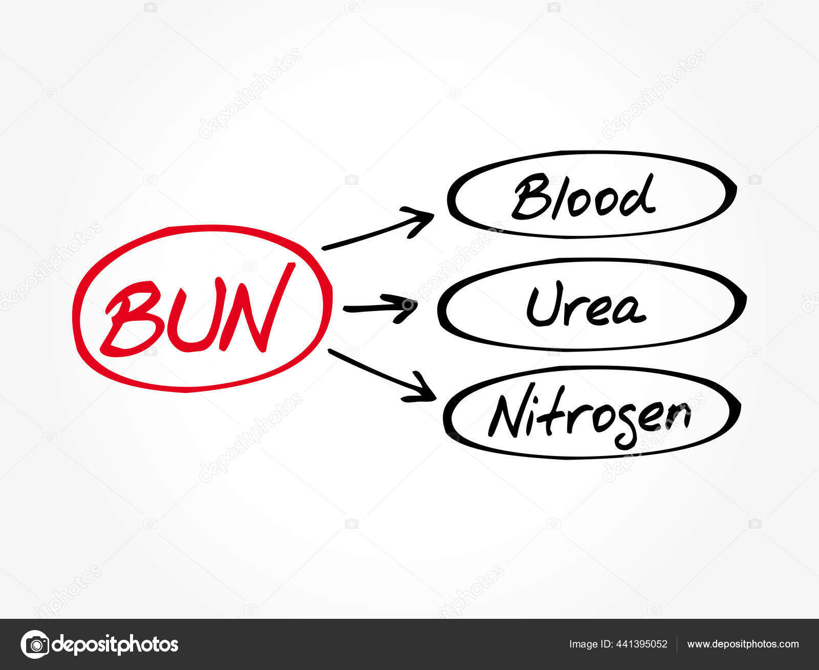 Bun Blood Urea Nitrogen Acronym Medical Concept Background Stock Vector ...