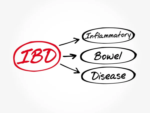 Ibs Irritable Bowel Syndrome Acronym Health Concept Background Stock ...