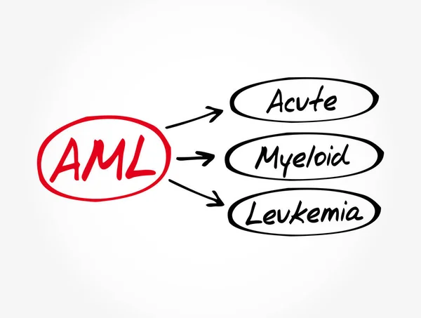 Aml Acute Myeloid Leukemia Acronym Medical Concept Background Stock ...