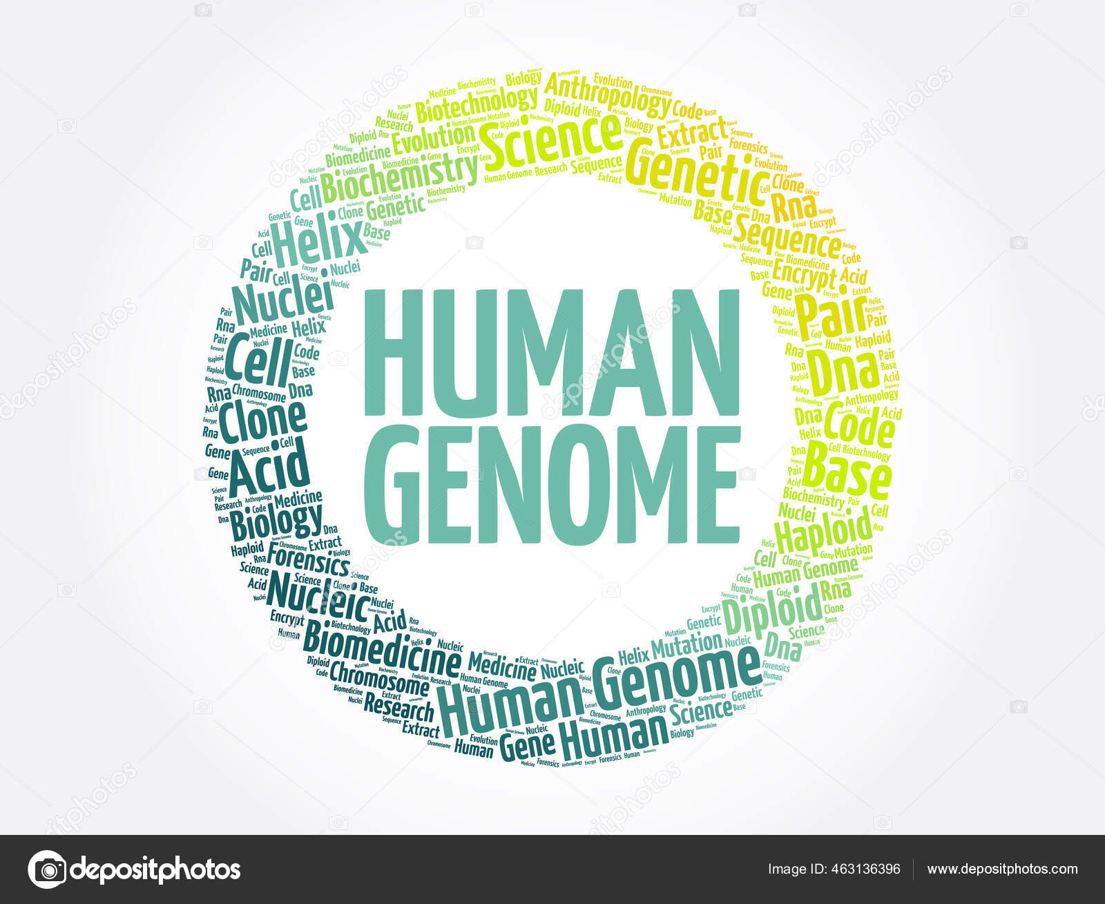 Human Genome Word Cloud Collage Medical Concept Background Stock Vector ...