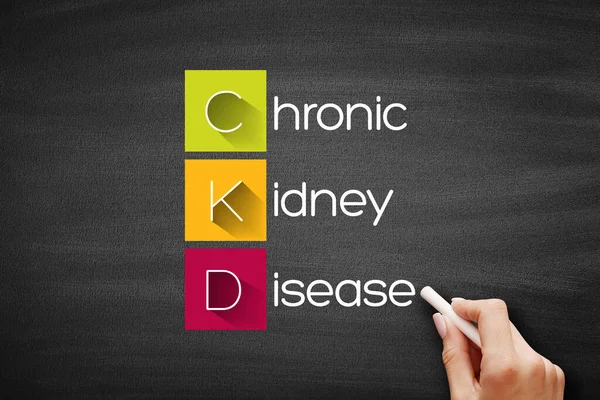 Ckd Chronic Kidney Disease Gradual Loss Kidney Function Period Months ...
