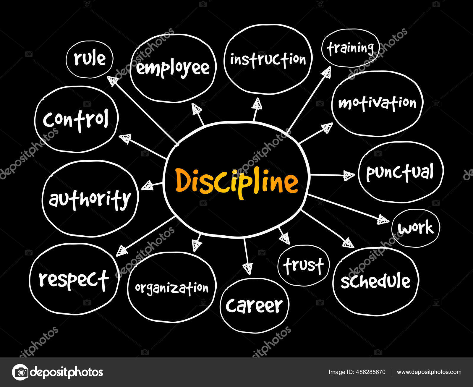 Discipline Mind Map Business Concept Presentations Reports Stock Vector ...