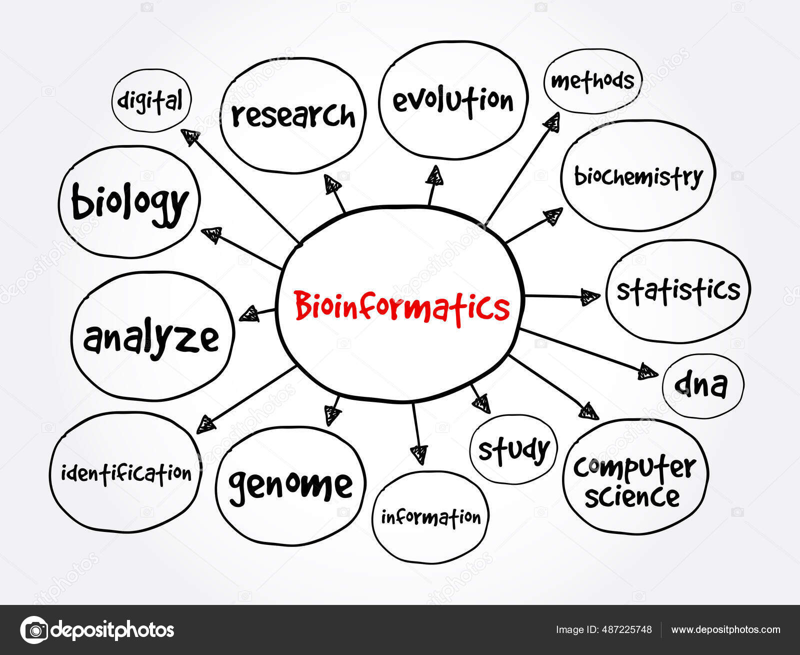 Bioinformatics Mind Map Concept Presentations Reports Stock Vector Image by ©dizanna #487225748