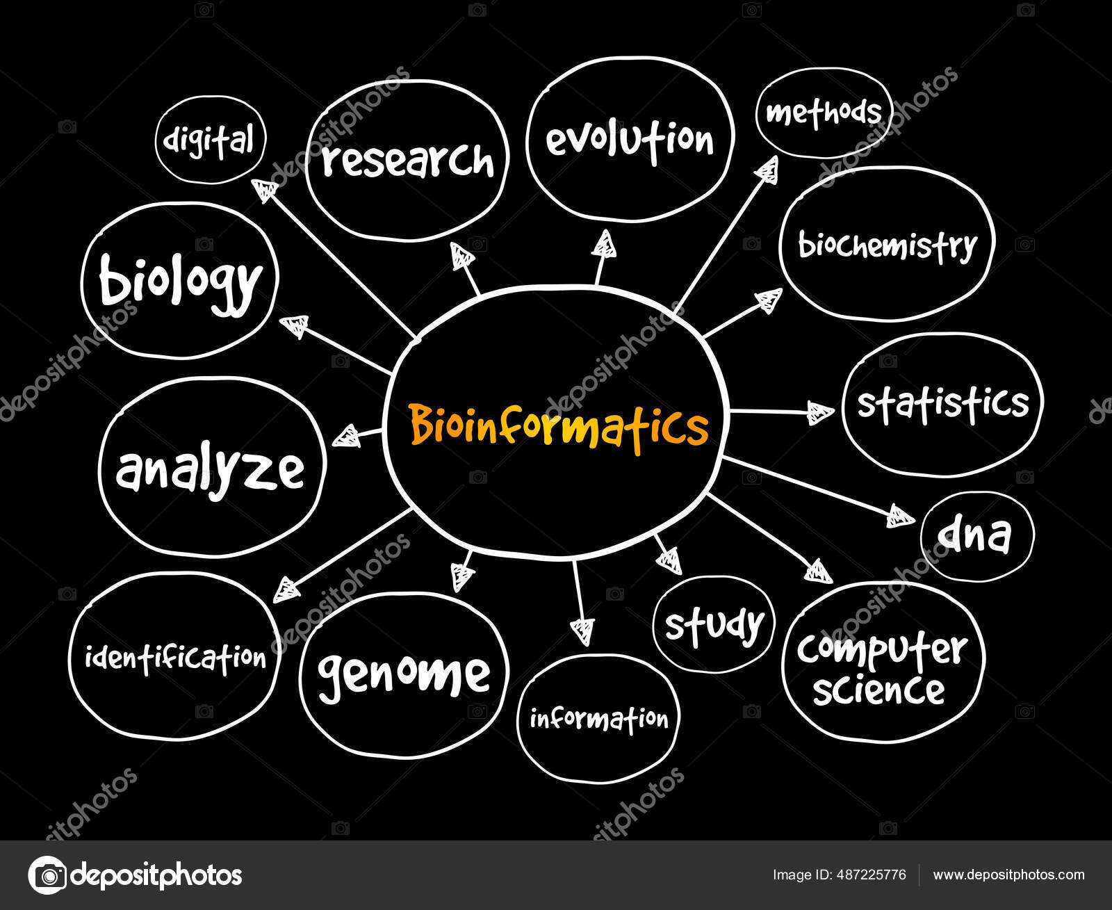 Bioinformatics Mind Map Concept Presentations Reports Stock Vector by ...