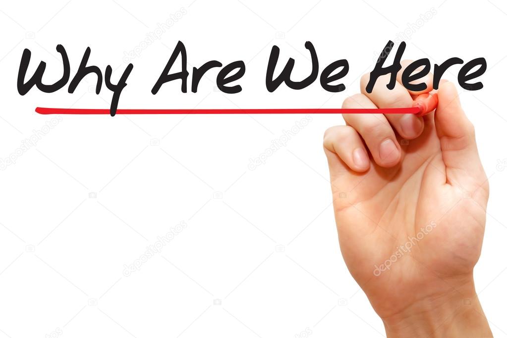 Fashion Model good In Long Dress Back