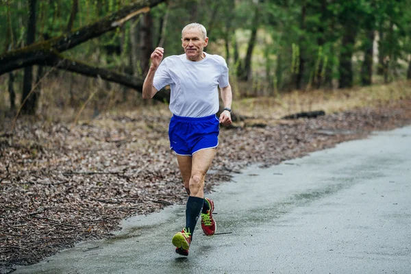elderly male runner athlete running in Park on way - Stock Image ...