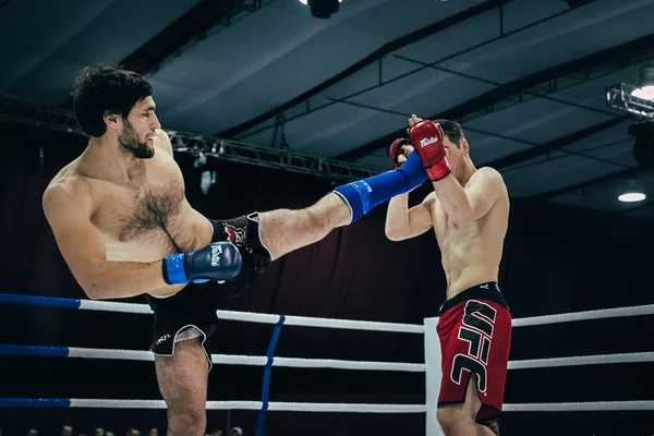MMA athlete gets a kick in head of opponent - Stock Image - Everypixel