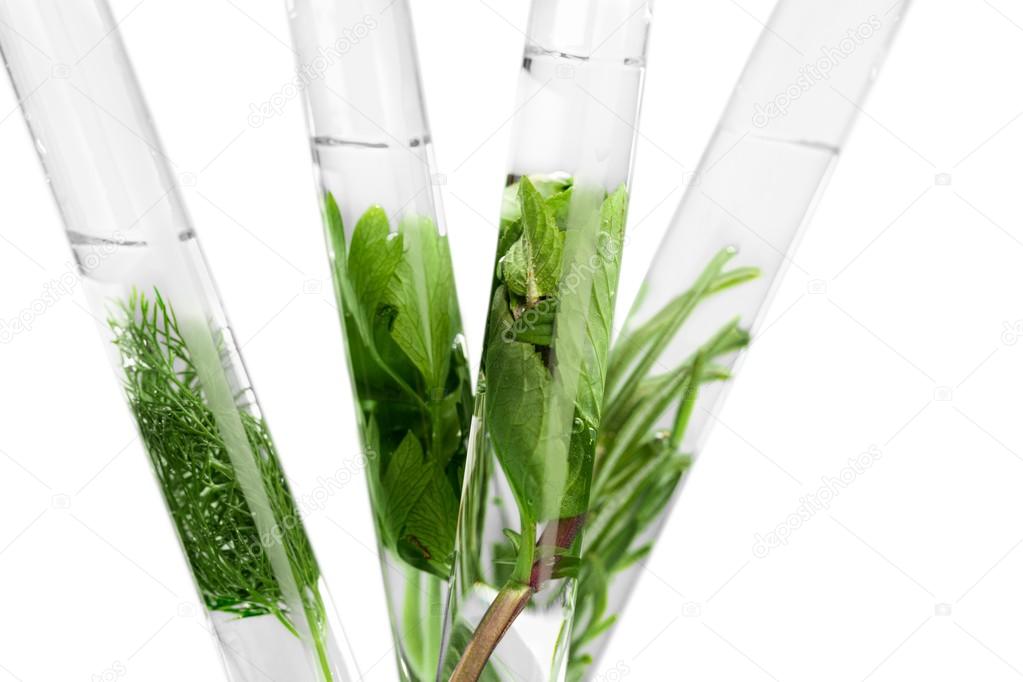 Herbal in test tubes. Stock Photo by ©billiondigital 118530102