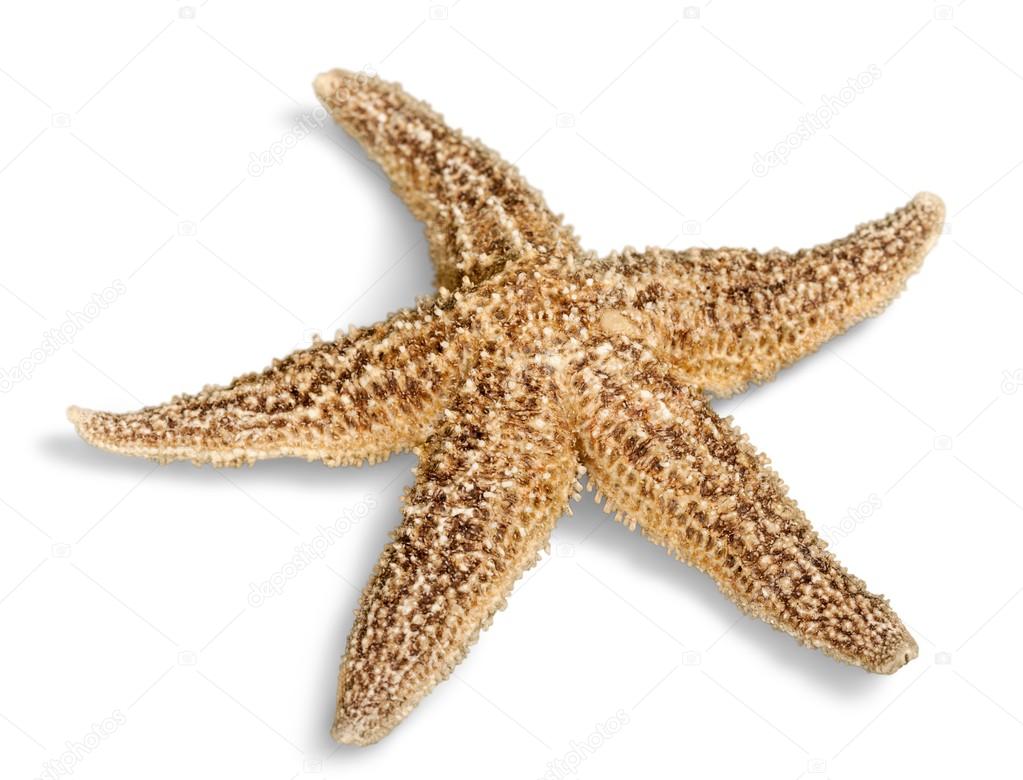 Yellow starfish isolated Stock Photo by ©billiondigital 118564658