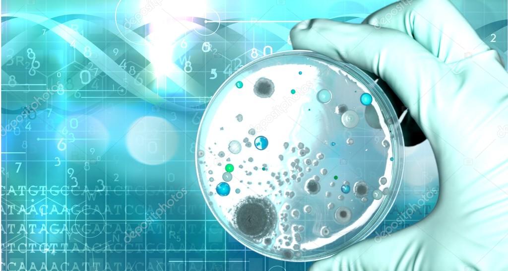 Microbiology Wallpaper