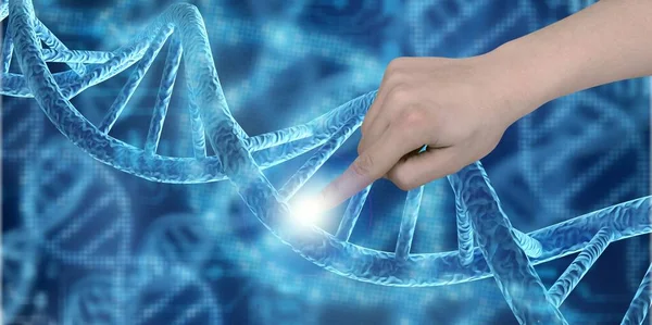 Business concept science human development,and health,DNA analysis ...