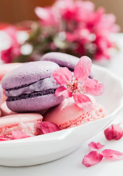 Macaroons and flowers Stock Photos, Royalty Free Macaroons and flowers ...