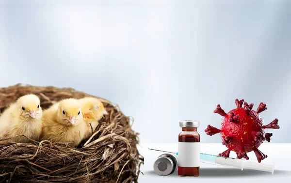 Incubation sepsis Stock Photos, Royalty Free Incubation sepsis Images ...