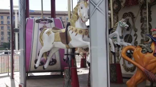 Vidéos pour Chiffre lion, Chiffre lion clips vidéo HD / 4K, footage ...