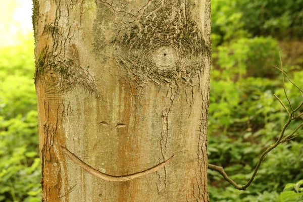 Emotikony na drzewo Stock Photos, Royalty Free Emotikony na drzewo ...