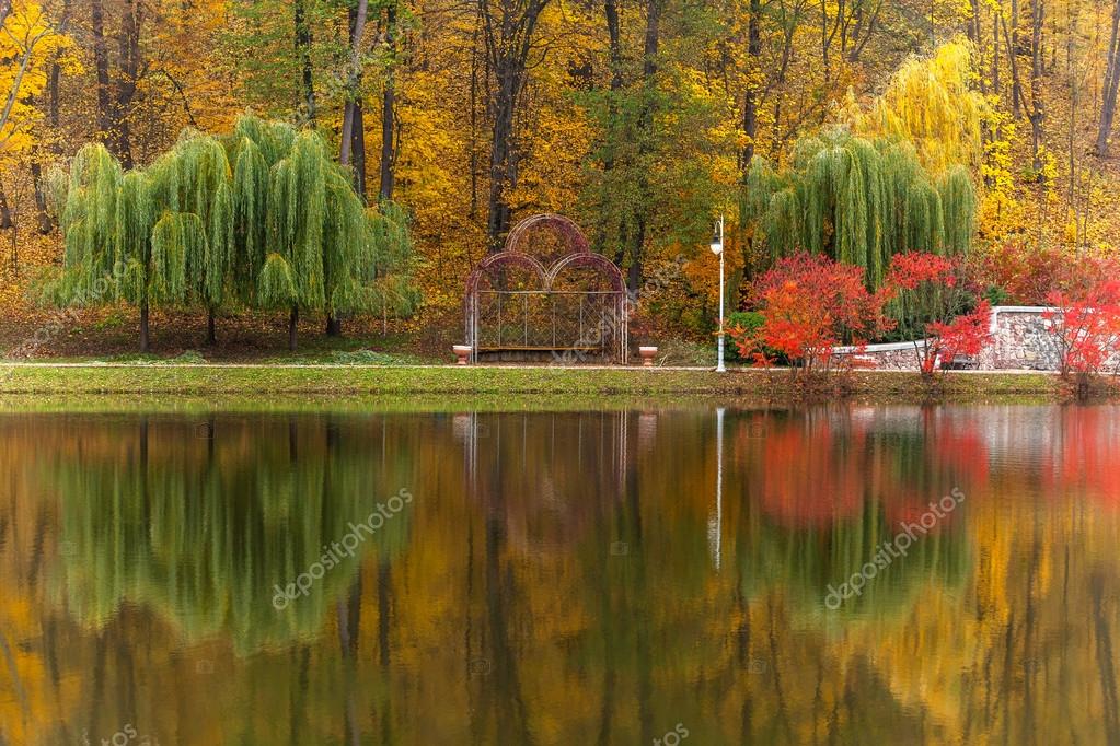 Park, autumn, nature, panorama, landscape, garden, colorful tree ...