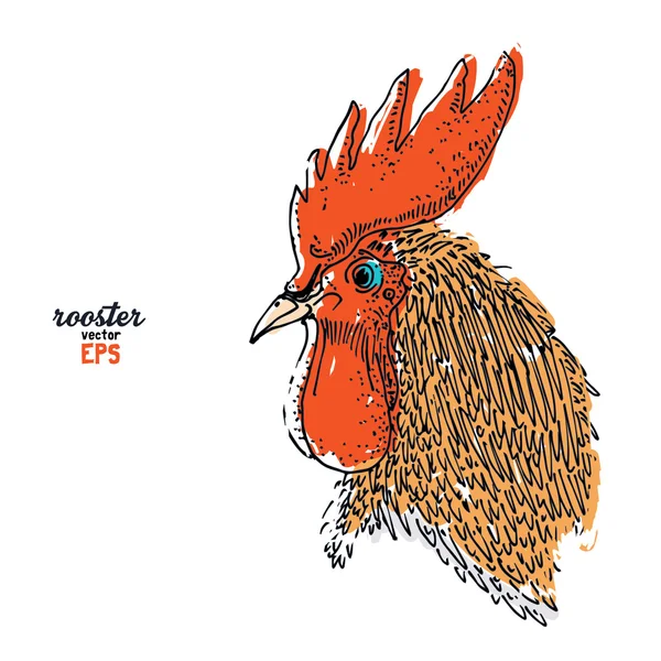 Rooster drawing illustration vector Stock Vector Image by ...