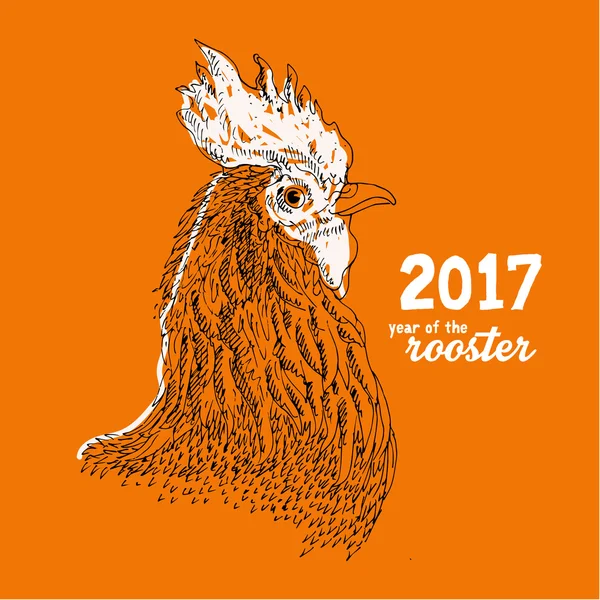 Rooster drawing illustration vector Stock Vector Image by ...