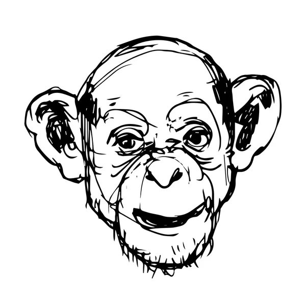 100,000 Darwin cartoon Vector Images | Depositphotos