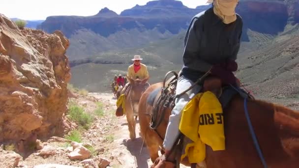 94 Pack of horses Videos, Royalty-free Stock Pack of horses Footage ...