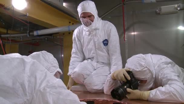 53 vídeos de Kvarkar, metraje de Kvarkar sin royalties | Depositphotos