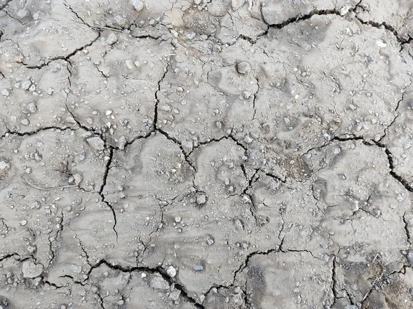 , ackground with cracks in the clay field, Background to clay farm ...