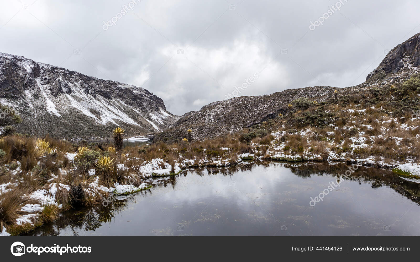 Lagoon Located Los Nevados National Natural Park Colombia Nevado Del ...