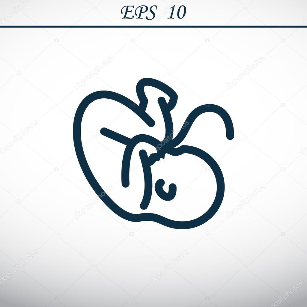 Embryon baby with umbilical symbol Stock Vector Image by ©LovArt #101358522