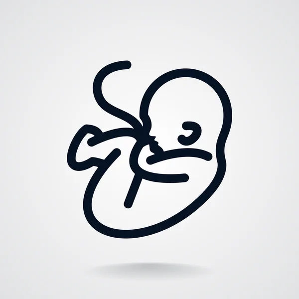 Embryon baby with umbilical symbol Stock Vector by ©LovArt 122324422